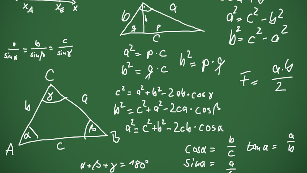 „Die Mathematik im Blick“